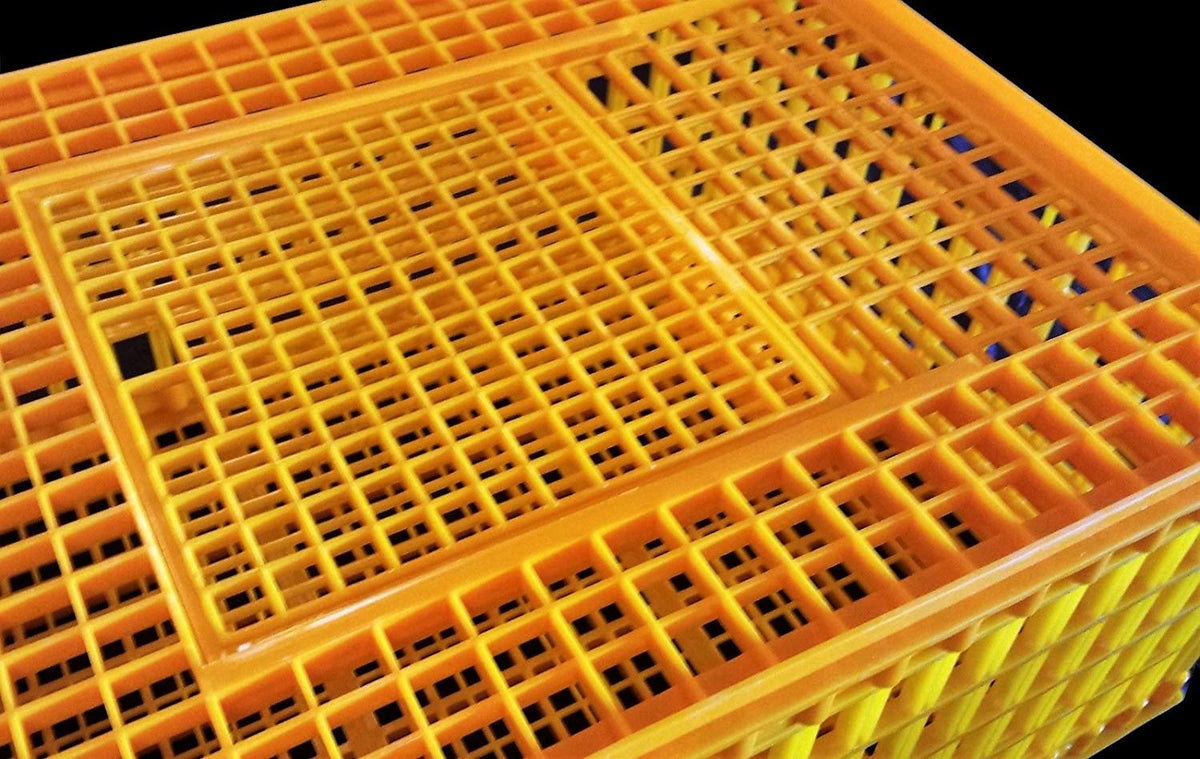 RITE FARM PRODUCTS H.D. 29x21x12 POULTRY TRANSPORT 4H SHOW CAGE COOP B ...
